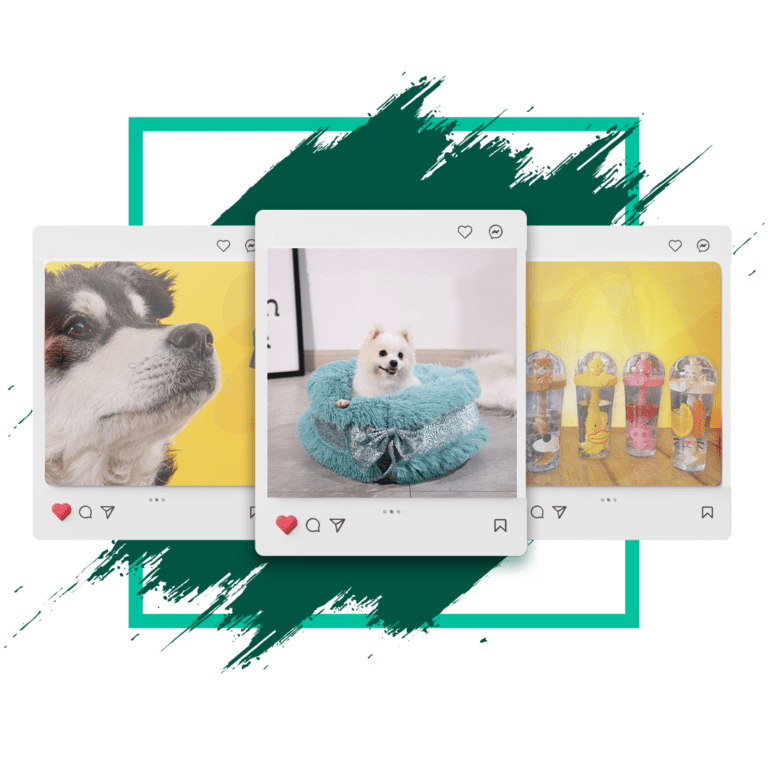 Startstorez: Pre Built Shopify Dropshipping Store For Sale